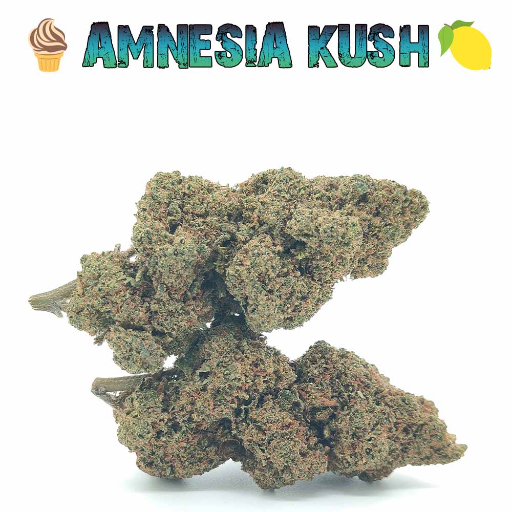 Amnesia Kush CBD à partir de 3,49€/gr – Les Frères CBD
